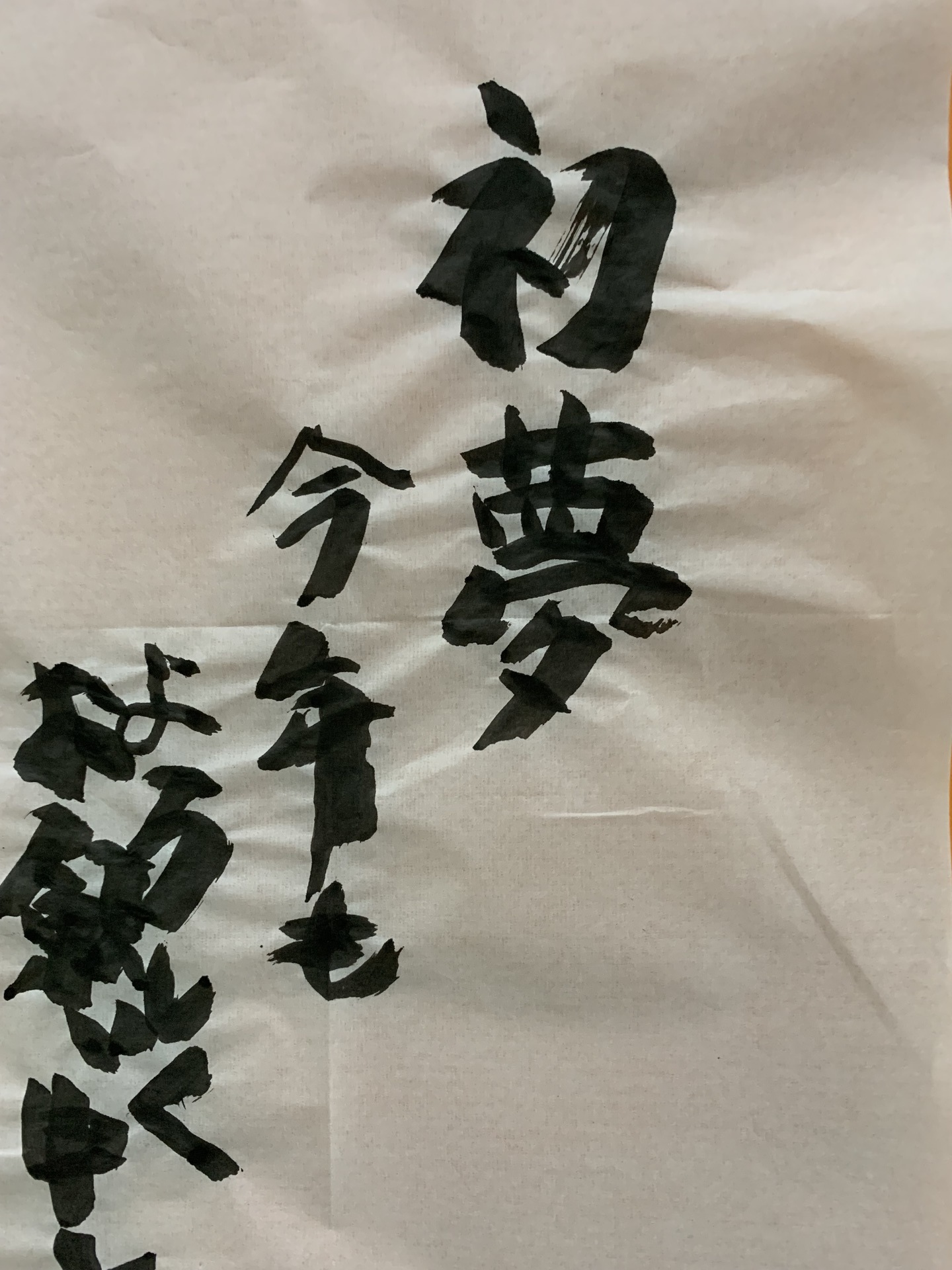 母の書初め: 不動産鑑定士イチローのフォトブログ